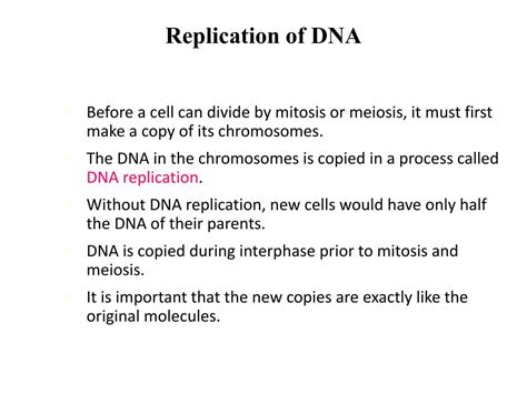 ppt ch 12 2 replication of dna powerpoint presentation free