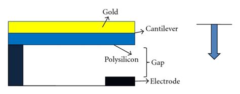 Microcantilever Based Biosensor Download Scientific Diagram