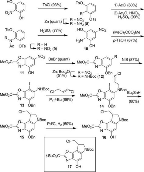 Synthesis And Evaluation Of Duocarmycin Sa Analogs Incorporating The