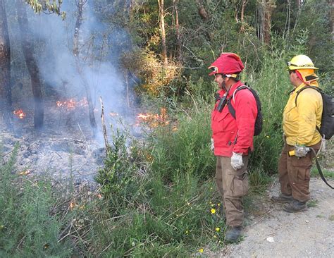 Onemi Decretó Alerta Roja En Castro Por Incendios Forestales