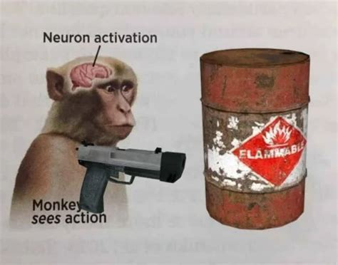 Neuron Activation Image Gallery Know Your Meme