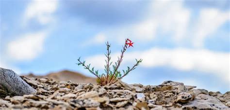 How Long Will It Take Before Java Developers Can Utilize Serverless