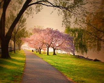 Popular Items For Tree Line On Etsy