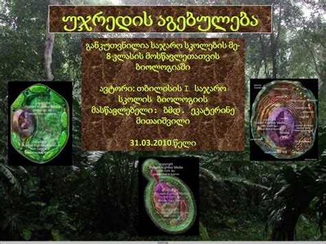 უჯრედის აგებულება Pptx