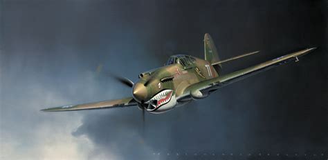 P40 In The Desert