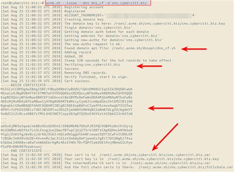 Secure Nginx With Let S Encrypt On Ubuntu 18 04 With DNS Validation NixCraft