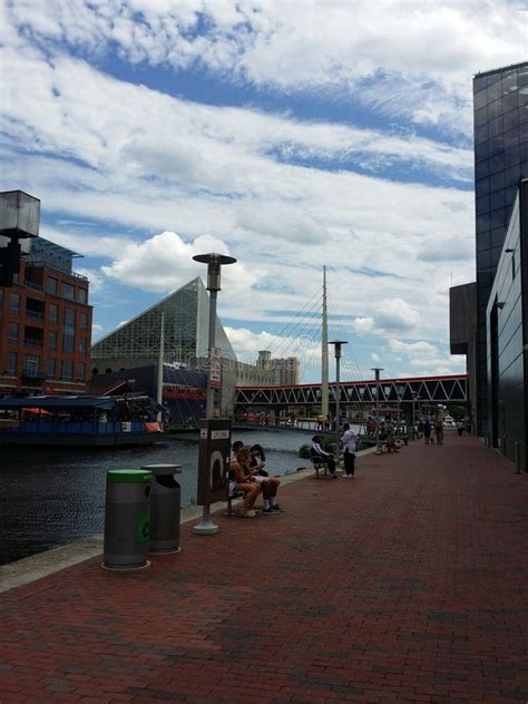 A View Of Baltimore Inner Harbor In Baltimore Maryland Usa In Summer