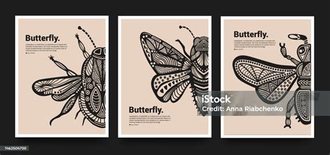 포스터 컬렉션입니다 패턴이 있는 곤충의 벡터 상세 스케치 손으로 그린 나비 곤충학 도면 세트입니다 딱정벌레는 인쇄 배너 포스터 문신 카드 디자인에 대한 개요를 설명합니다 0