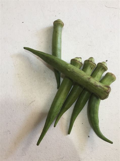 Okra Detection Object Detection Dataset By Capstone