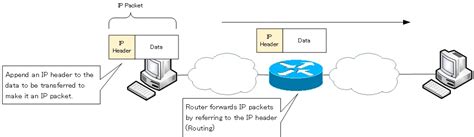 IP Internet Protocol The Most Important Data Transfer Protocol TCP IP N Study