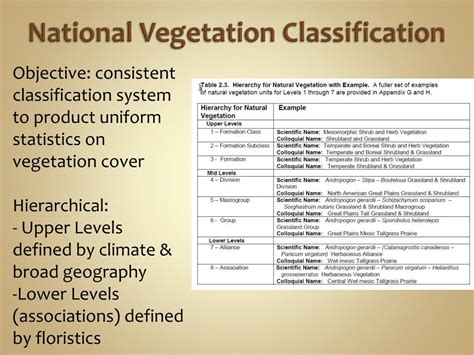 Ppt Resources And Standards For Community And Plant Classification Powerpoint Presentation