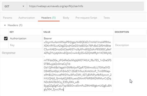 Authorization Bearer Configuring Header Authentication Invicti
