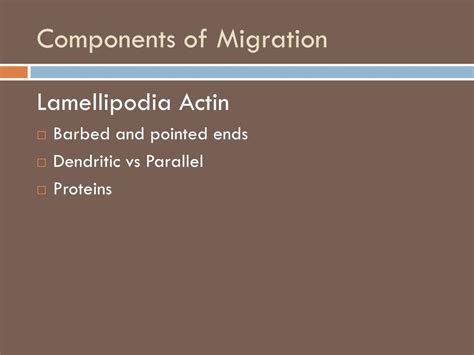 Ppt Signal Pathways In Cell Migration And Adhesion Powerpoint Presentation Id 252026