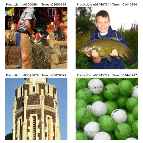 Simple Image Classification Using Fastaijl Analytics Vidhya