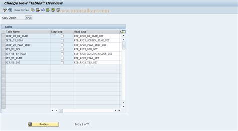RTPB02 SAP Tcode RPUS Cntrl Tables