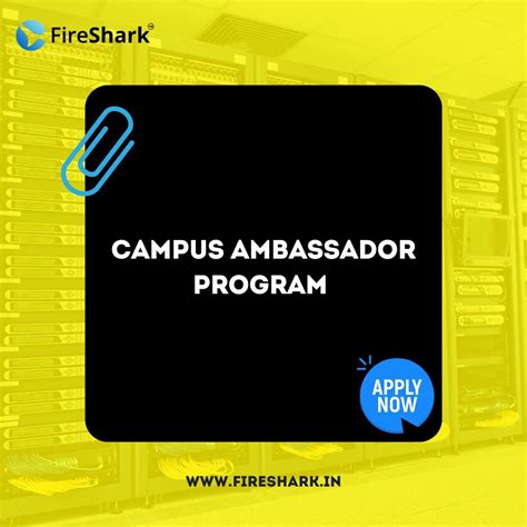 Piyush Raj On Linkedin Internshipopportunity Internship