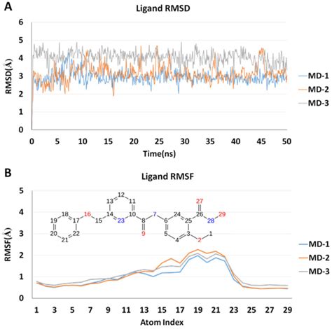 Comparative Structure Based Virtual Screening Utilizing Optimized Alphafold Model Identifies