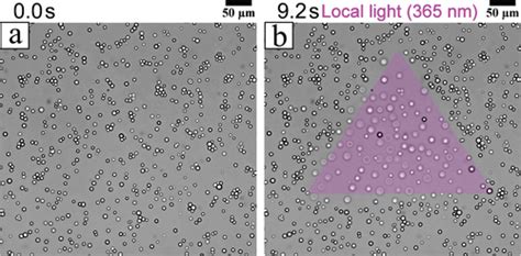 Versatile Microfluidics Separation Of Colloids By Combining External