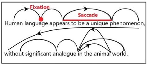 Saccades And Fixations Are Shown On The Sample Sentence Download Scientific Diagram