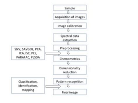 Flow Chart Indication Different Step Associated With Acquisition And