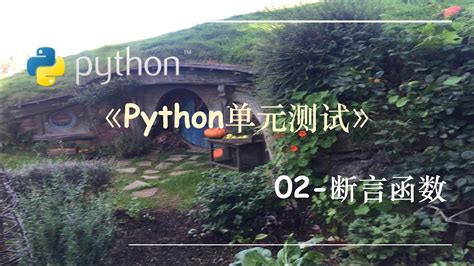 Python单元测试 断言函数 YouTube