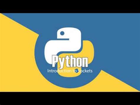 SOCKET PROGRAMMING IN PYTHON YouTube