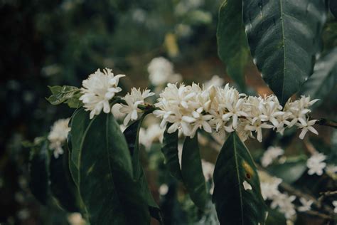 Exploring Genetics Mutation Cross And Hybrid Drwakefield Drwakefield