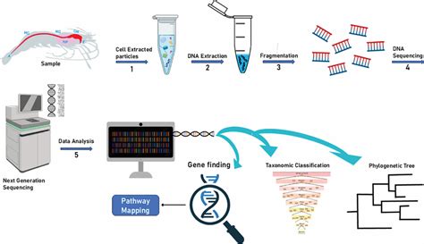 Genetic Variability Heritability And Genetic Advance Of Nutritional Traits Of Groundnut