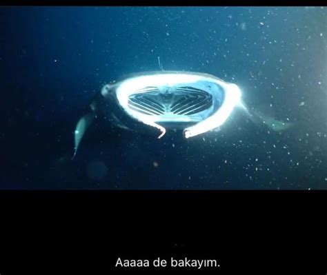 Aaaaaaaaaaaaaaaaaaaaaaaaaaaaaaaaaa R Aaaaaaaaaaaaaaaaa