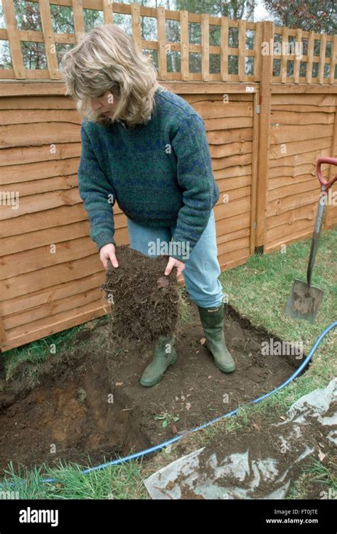 Woman Removing Turf From A Lawn Before Making A New Border FOR EDITORIAL USE ONLY Stock Photo