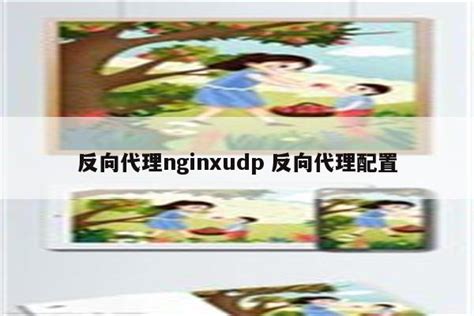 反向代理nginxudp 反向代理配置 技术分享 Xp资讯网