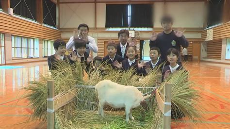 日本鹿兒島一間小學迎接特別新生 Now 新聞