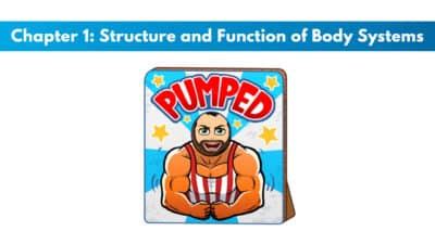 CSCS Chapter Structure And Function Of Body Systems