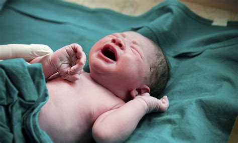 El Herpes En El Bebé Puede Ser Grave Y Se Contagia A Través De Los