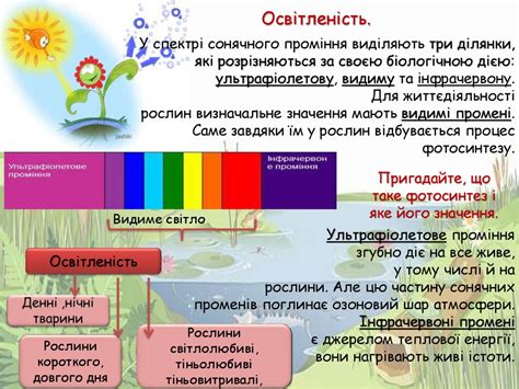 Середовища існування організмів презентация онлайн