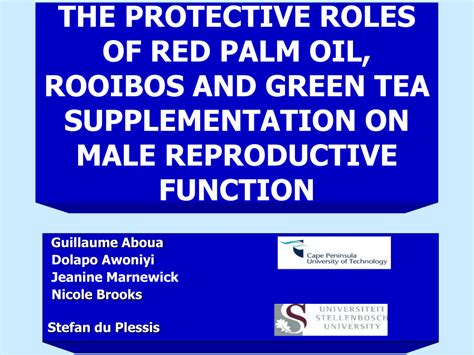 Pdf The Effect Of Natural Antioxidant Supplementation On Male Fertility