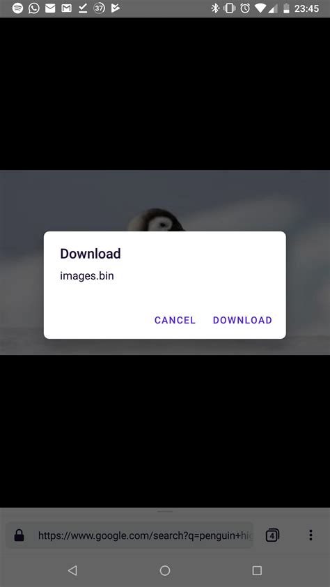 Design Is Broken · Issue 38136 · Webcompatweb Bugs · Github
