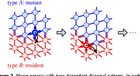 Figure 1 From Evolutionary Dynamics Of Mutants That Modify Population Structure Semantic Scholar