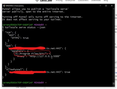 Im Trying To Use Funnel To Publicly Access A Server On My Computer