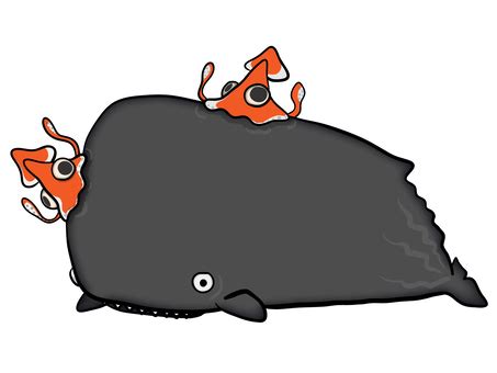 70以上 ダイオウイカ イラスト 468476 ダイオウイカ イラスト 簡単