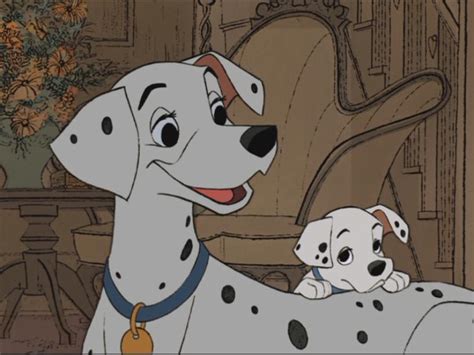 Dalmatians Dalmatians Image Fanpop