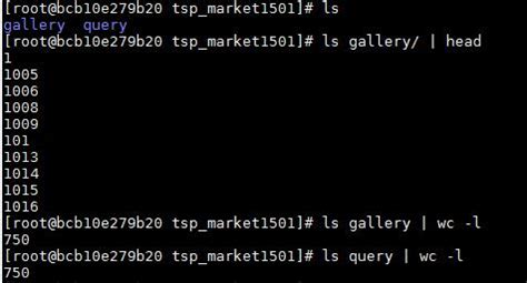 Error Using Test Py With MARS Dataset Need Clarification On Train Py Issue ZQPei Deep