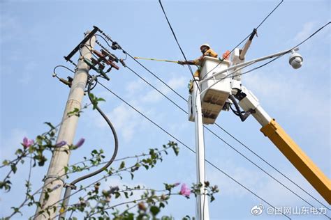 平阴县供电公司带电更换避雷器 铜马电力