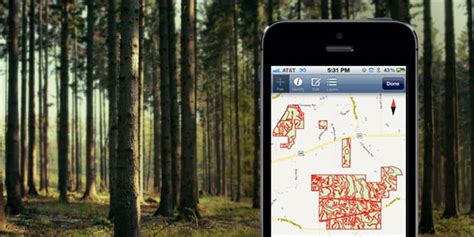 Logging Technology Revolutionizes An Ancient Practice