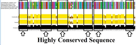 multiple sequences alignment lactase