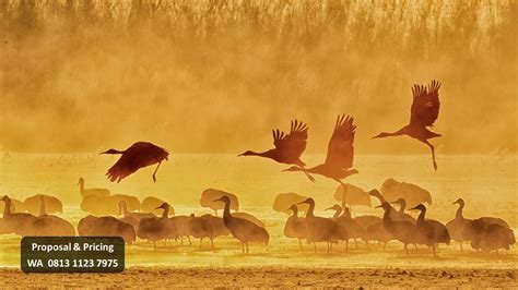 Troubleshooting Skills