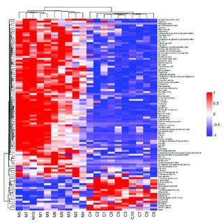 Hierarchical Clustering Heat Map Of 98 Differential Metabolites Between