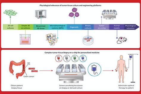 About Us Cerflux Crush Cancer