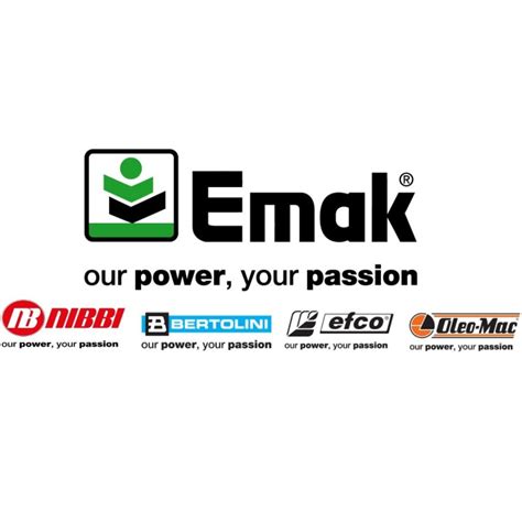 Chainsaw Conveyor Models Gs Original Oleomac Br