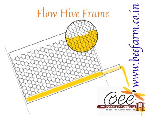 Flow Hive Frames Gujarat Beekeeper Development And Honey Producer Co Operative Society Ltd